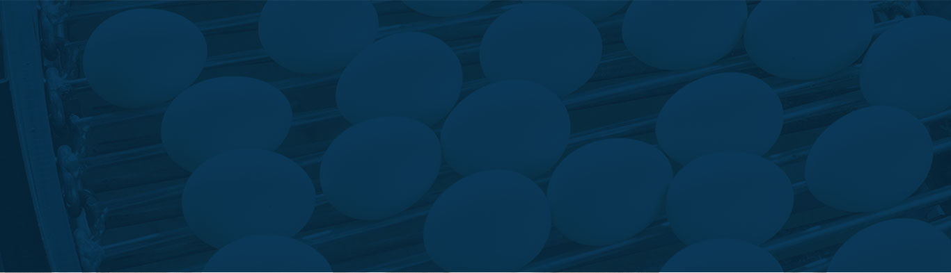 Breakthrough Mite Control | Exzolt