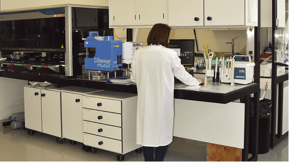 Red Mite Parasiticide Pharmacology | Exzolt